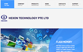 Singapore Web Consultant - Past Projects by Alumagubi